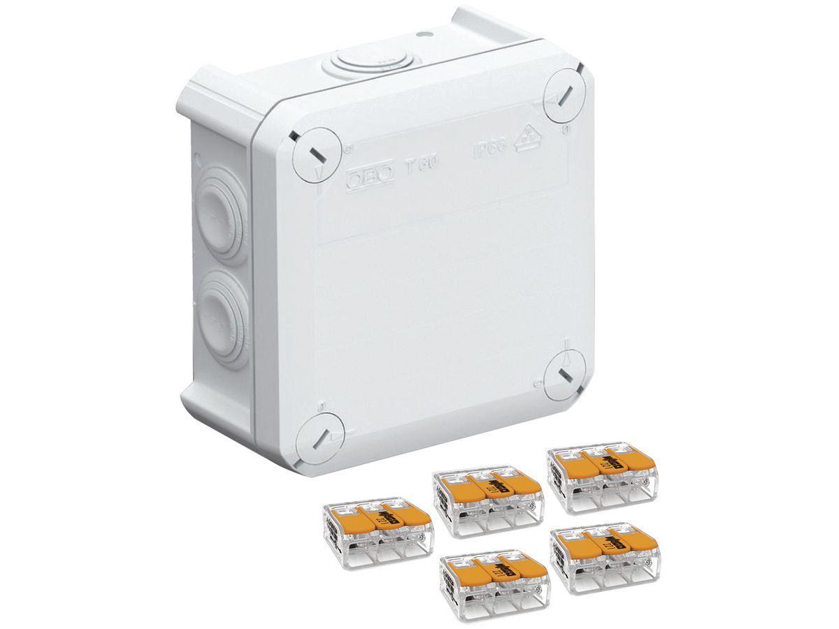 Boîte de dérivation Cellpack Universal Box CG T60 avec WAGO 5×221-613 ...